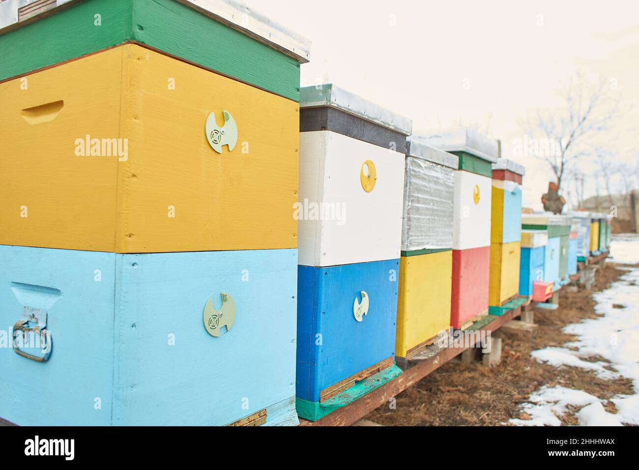 colored wooden bee hives in winter Stock Photo - Alamy