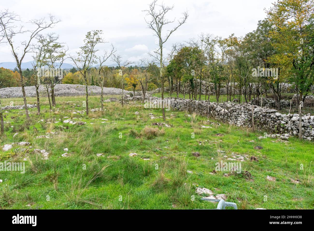 Mainly walls remain of an ancient hillfort, city of a prehistoric tribe ...