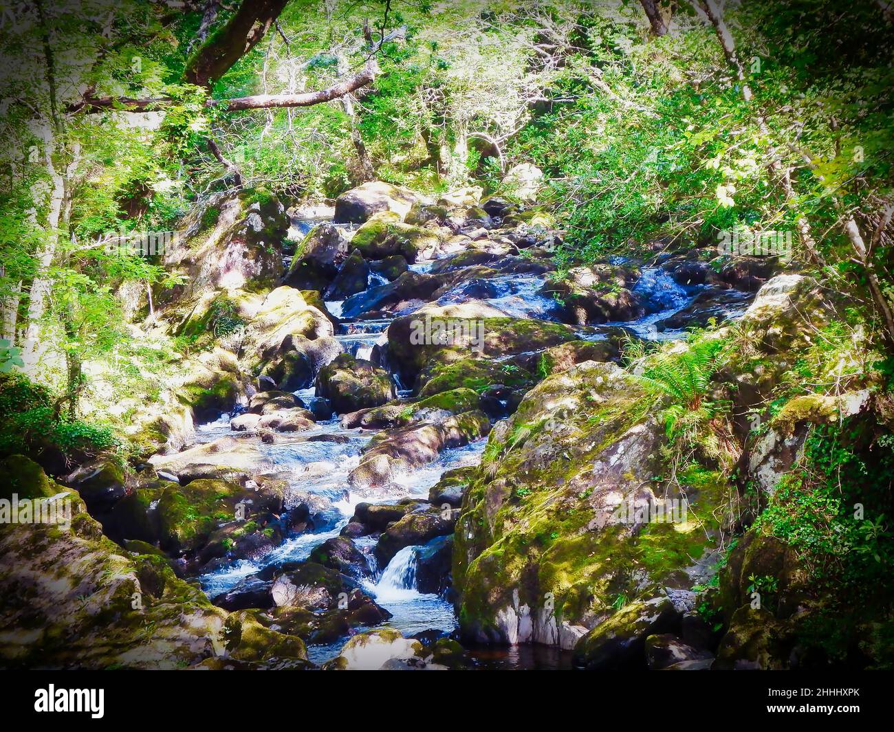 Ireland landscape spring water hi-res stock photography and images - Alamy