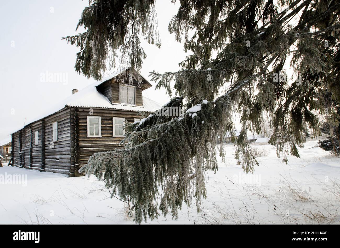 Outskirts of the forest hi-res stock photography and images - Alamy
