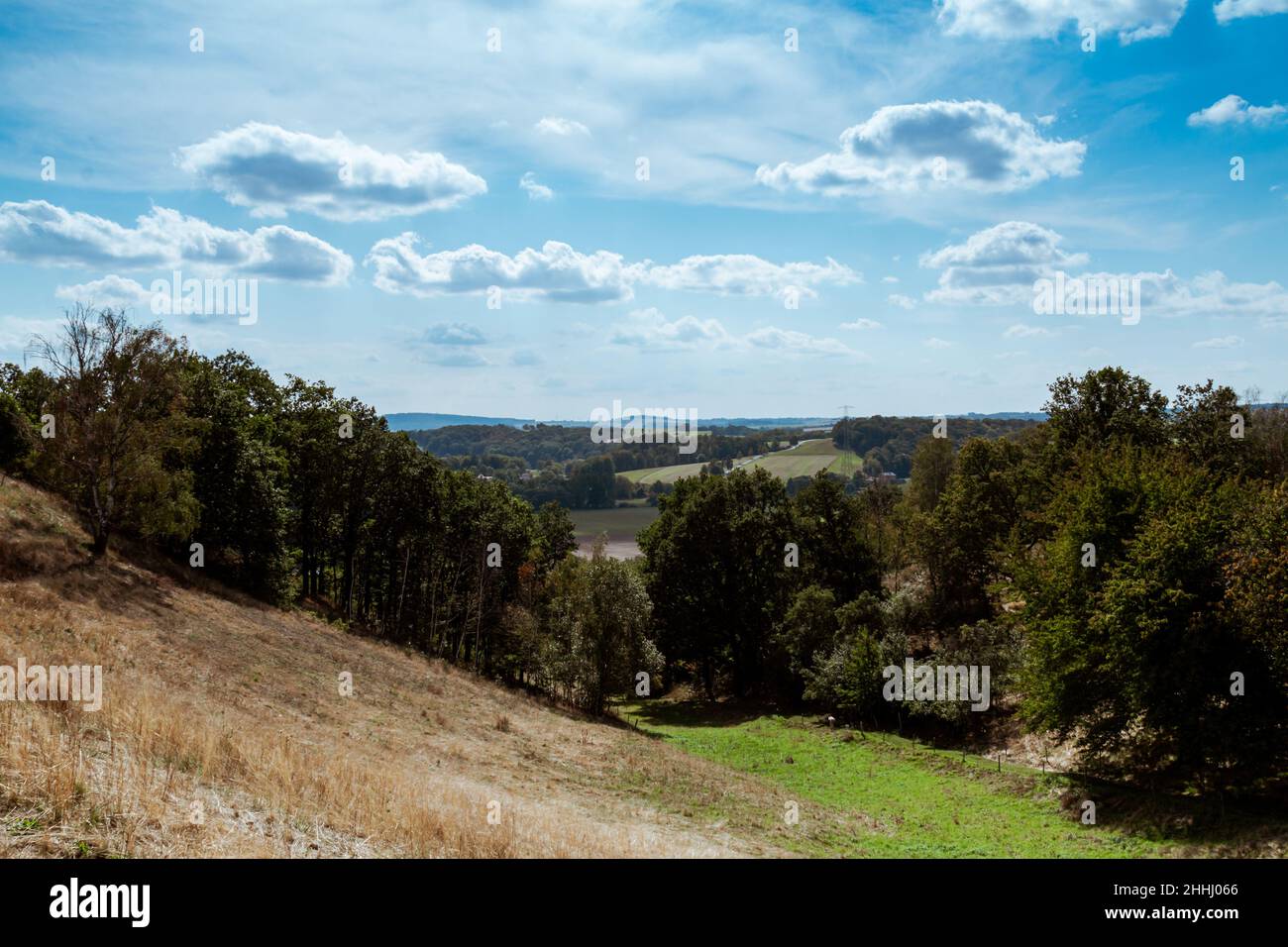 Blue sky and a treeline in the summer Stock Photo - Alamy