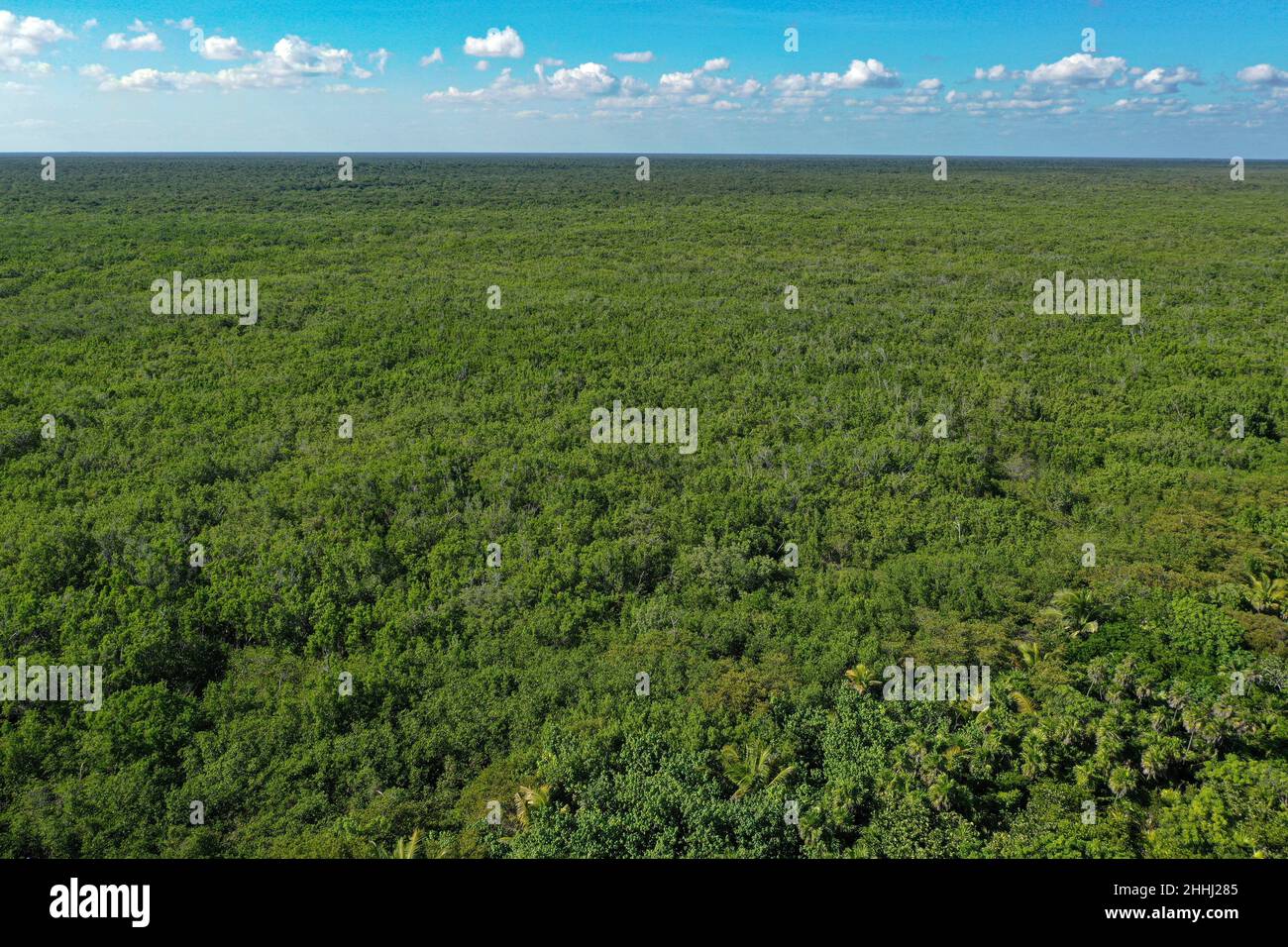 Drone shots of Mexico's East Coast Stock Photo - Alamy