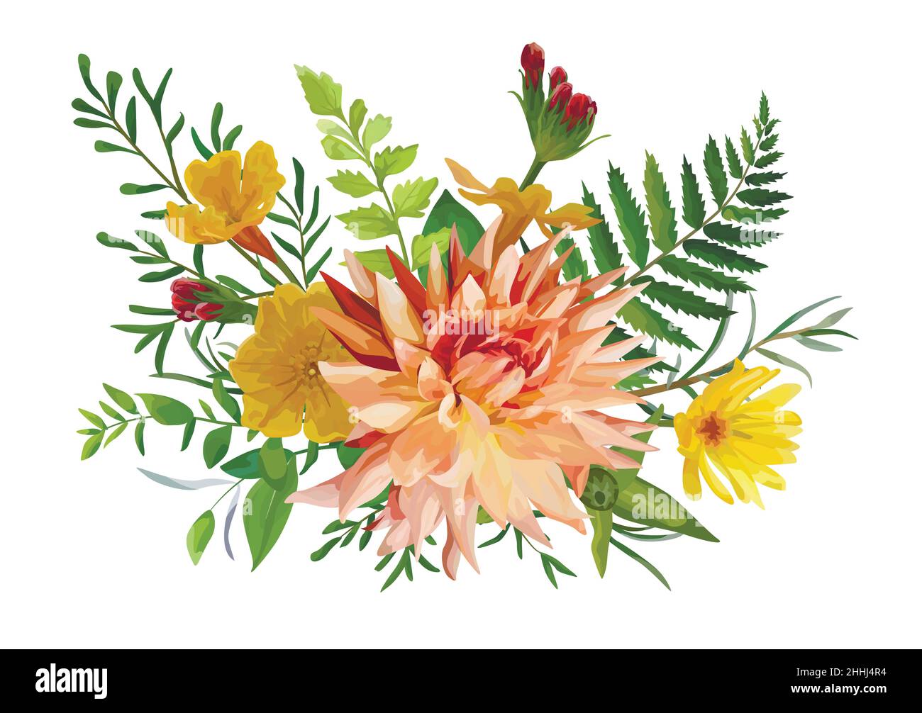 Bright red yellow peach Stock Vector Images - Alamy