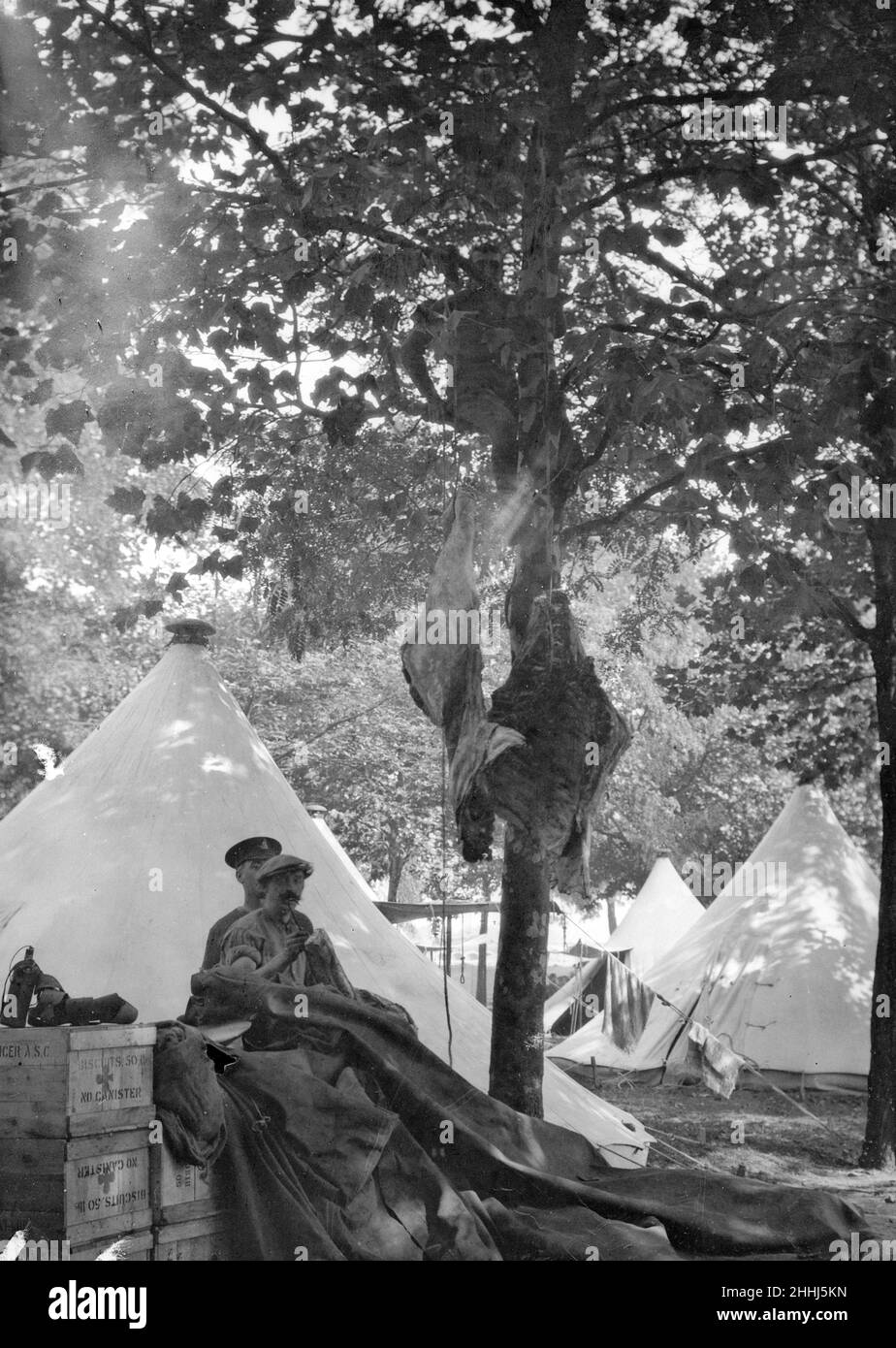British Army cooks seen here hanging a couple of beef carcases from a ...