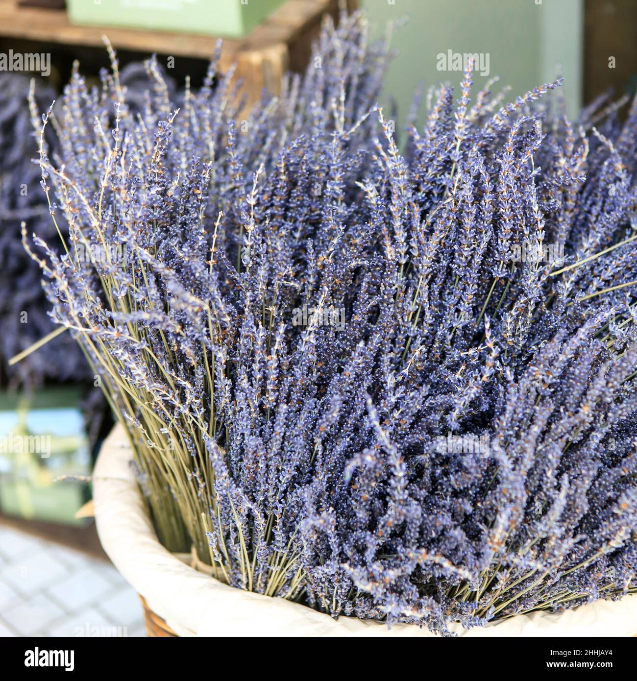 Lavender square texture hi-res stock photography and images - Alamy