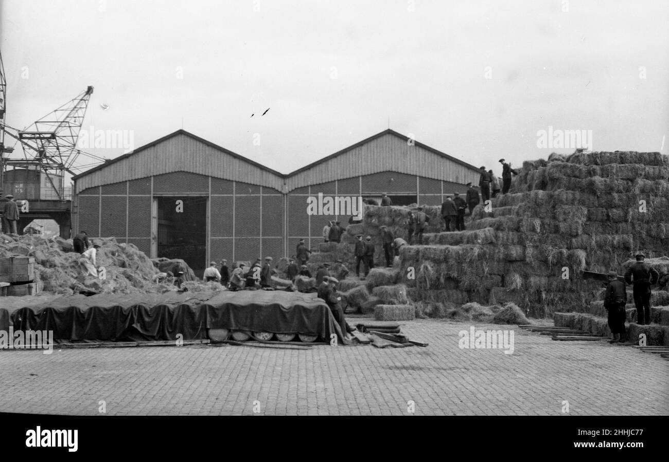 British Army stockpile feed and hay for their horses on a Boulogne ...