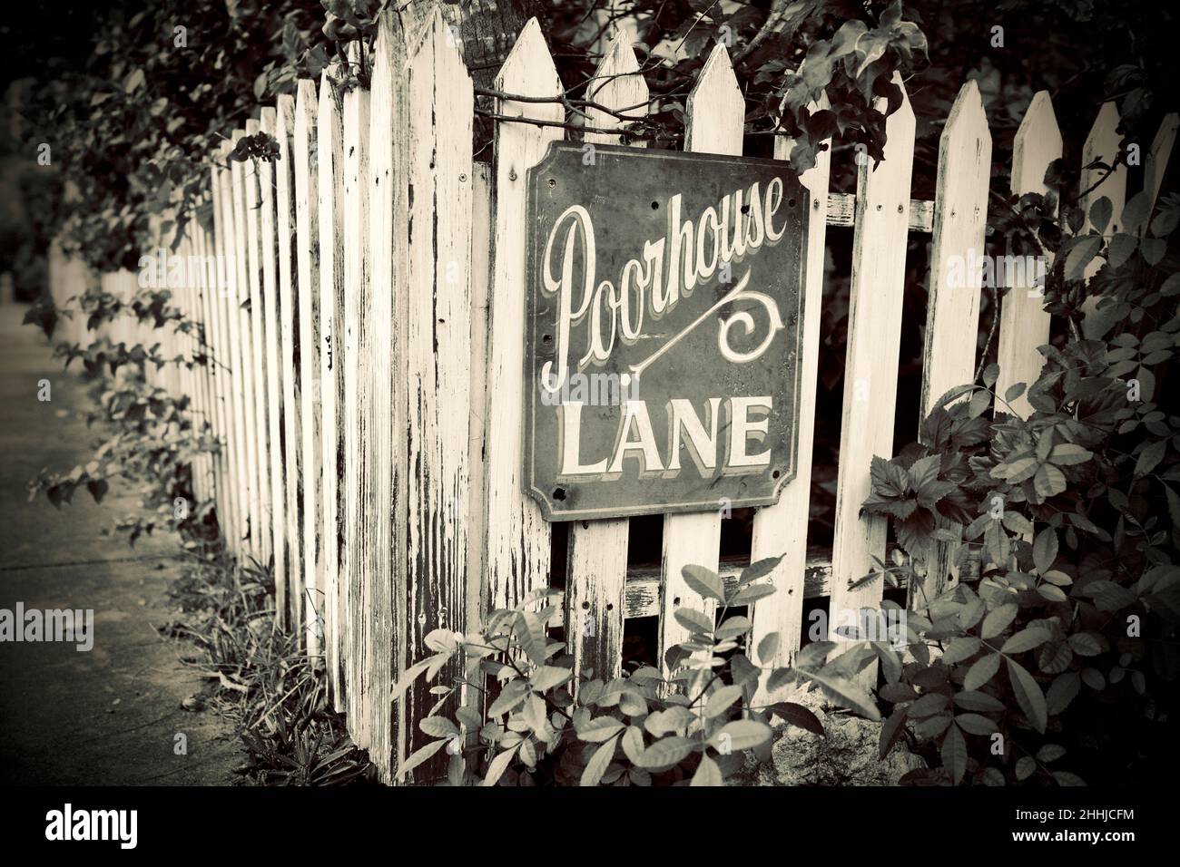 Poorhouse Lane sign on picket fence in Key West, Florida, FL USA ...