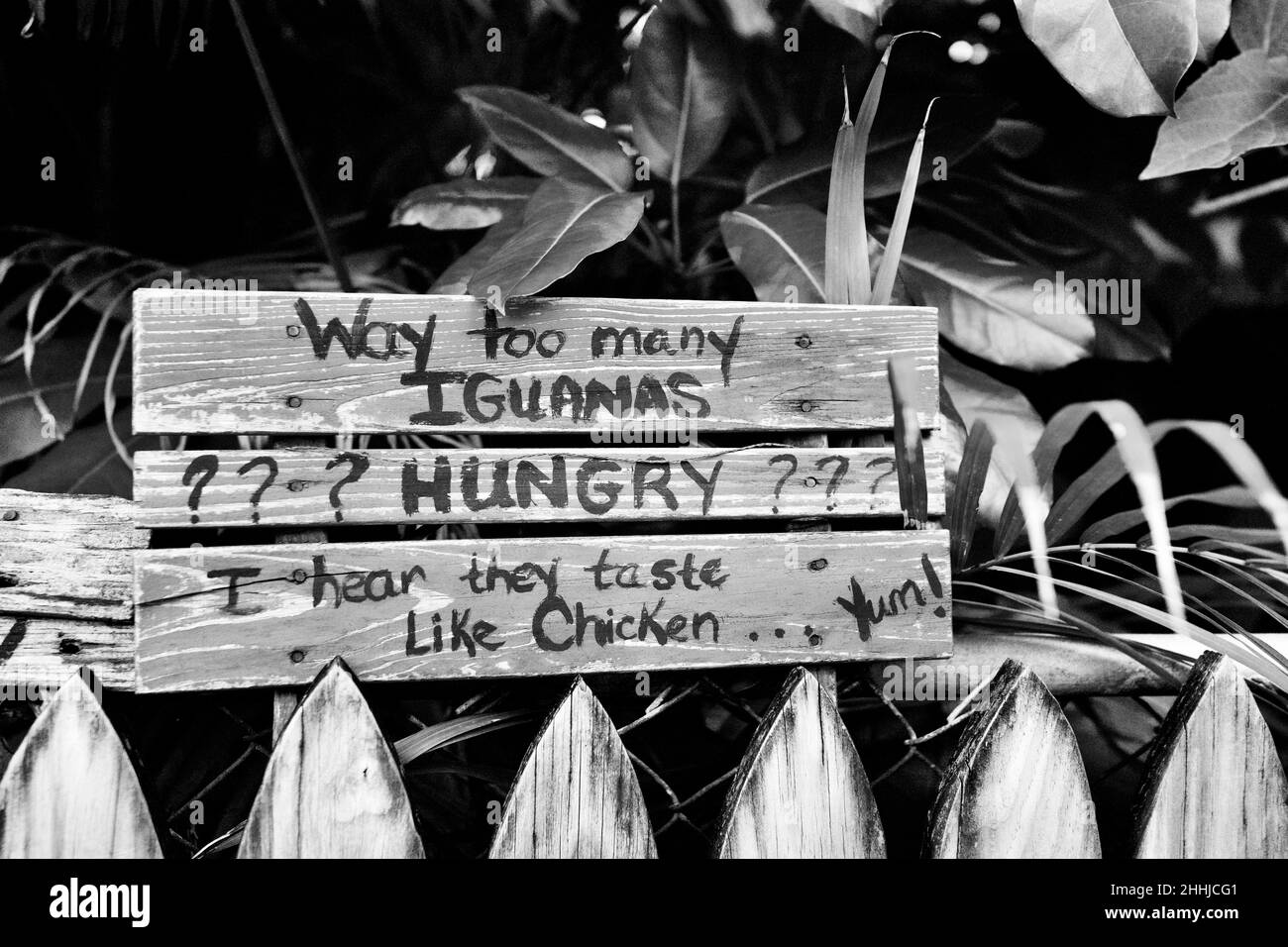 Funny sign key west hi-res stock photography and images - Alamy
