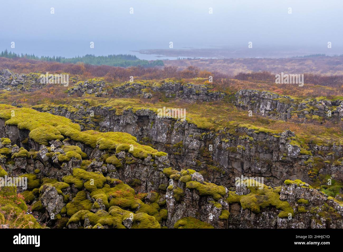 Im Land der Feen und Elfen Island das verborgene Volk - In the land of ...