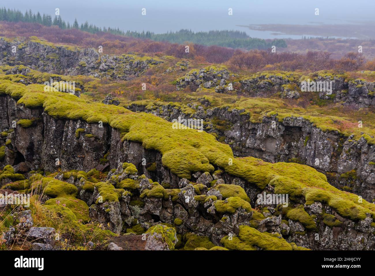 Im Land der Feen und Elfen Island das verborgene Volk - In the land of ...