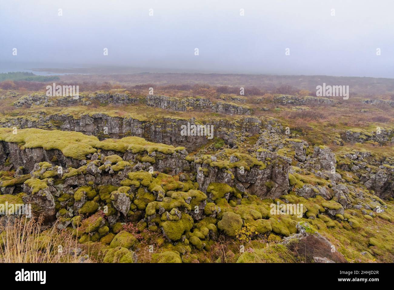 Im Land der Feen und Elfen Island das verborgene Volk - In the land of ...