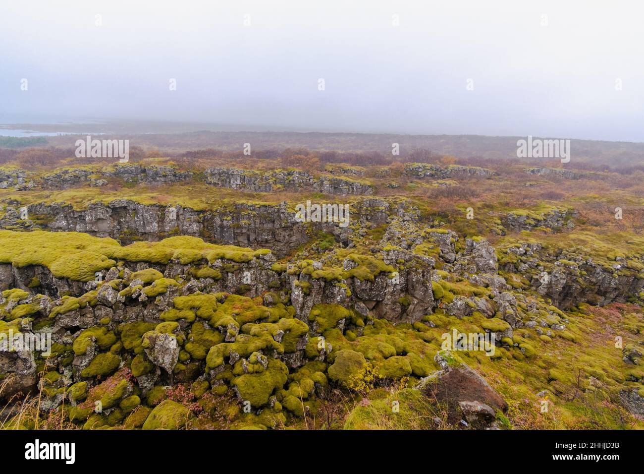 Im Land der Feen und Elfen Island das verborgene Volk - In the land of ...