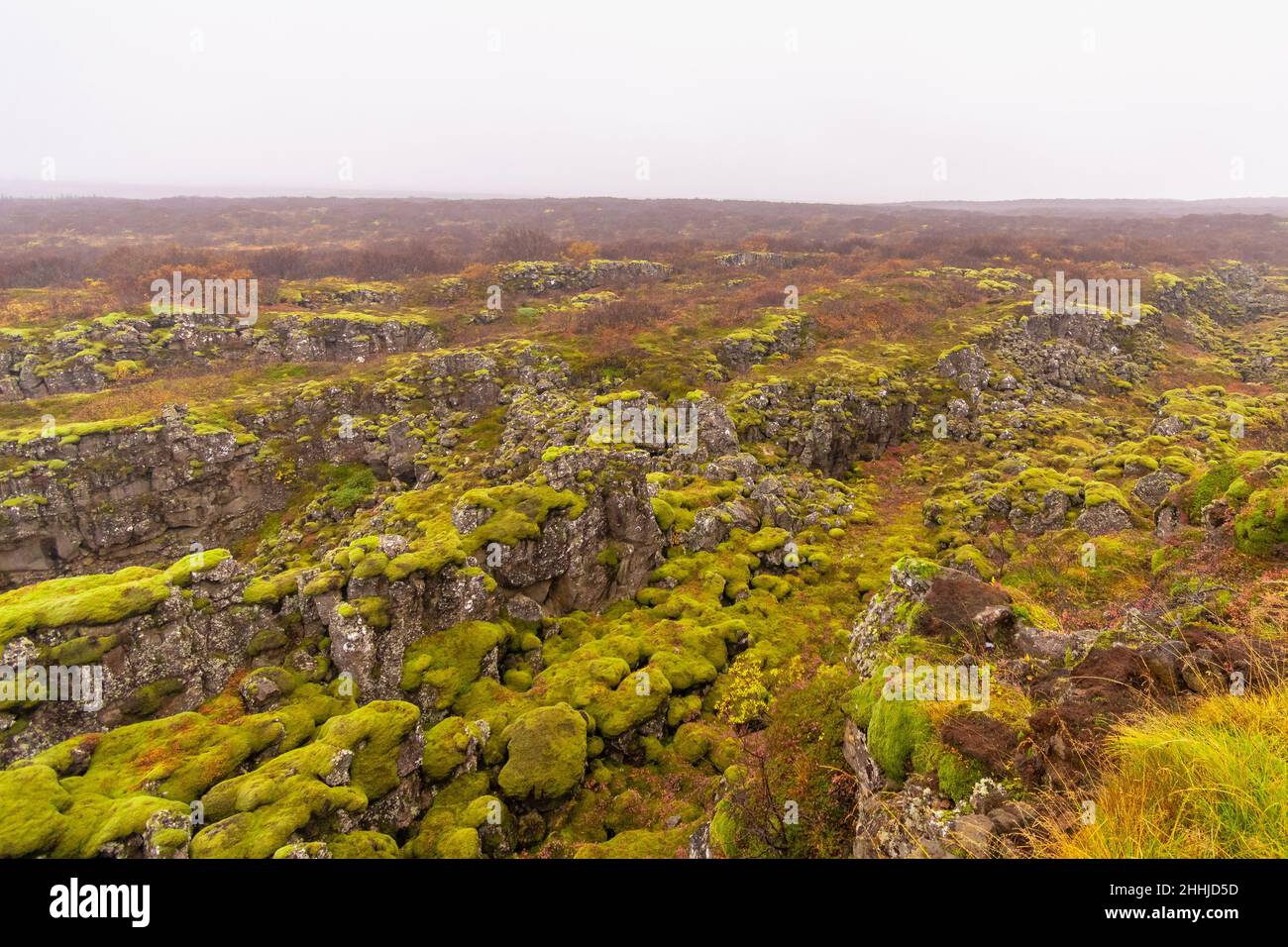 Im Land der Feen und Elfen Island das verborgene Volk - In the land of ...