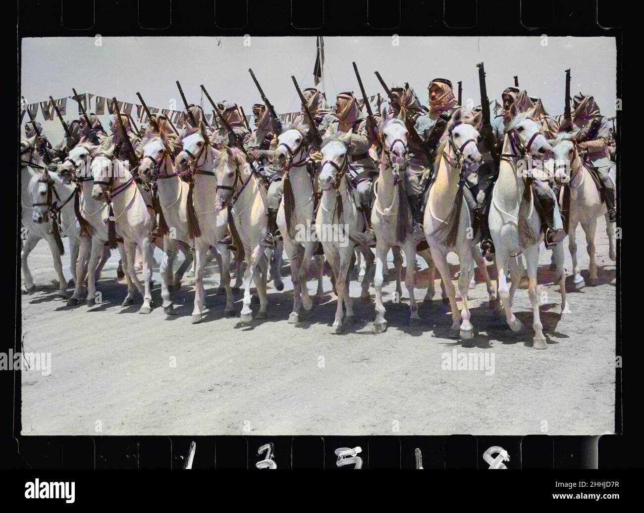 46 the elite camel corps of the arab legion hi-res stock photography ...