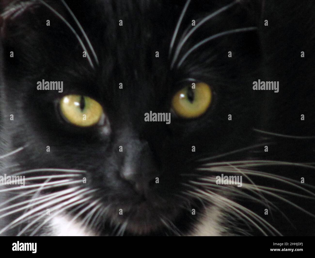 Kayla white hi-res stock photography and images - Alamy