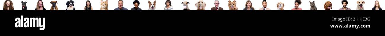 Group of dogs with people together Stock Photo - Alamy