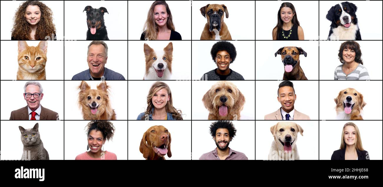 Group of dogs with people together Stock Photo - Alamy