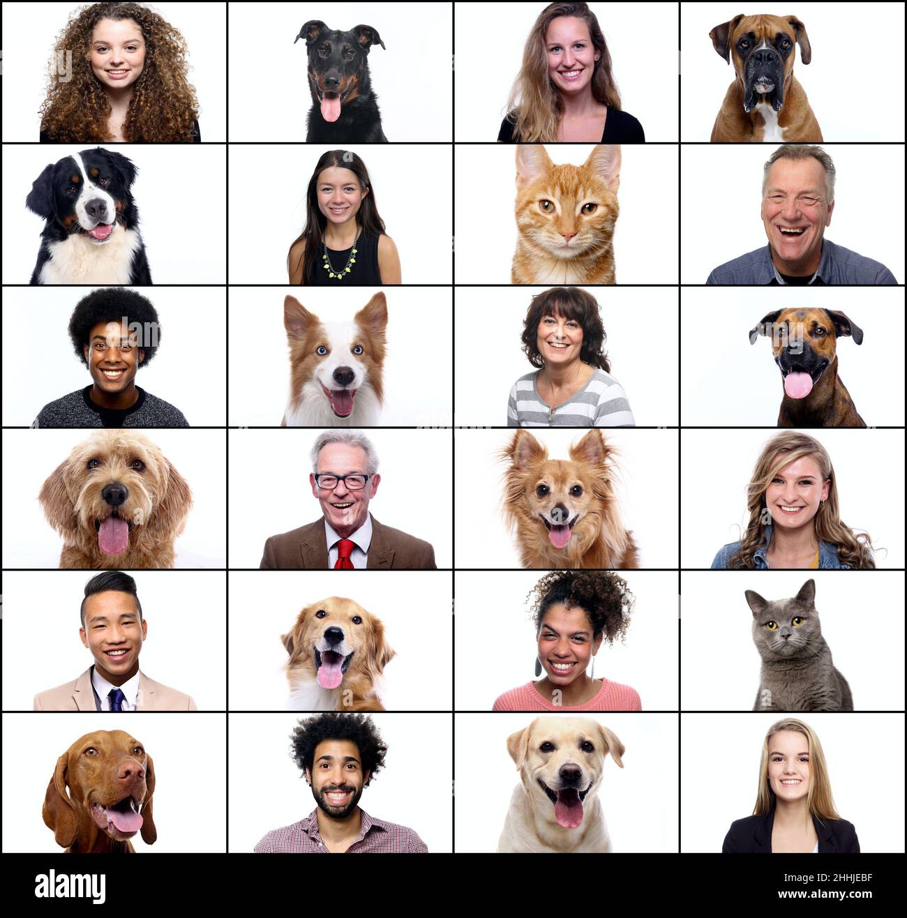 Group of dogs with people together Stock Photo - Alamy