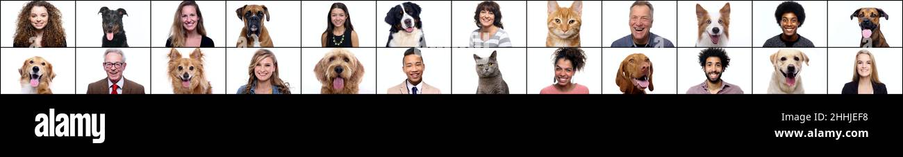 Group of dogs with people together Stock Photo - Alamy