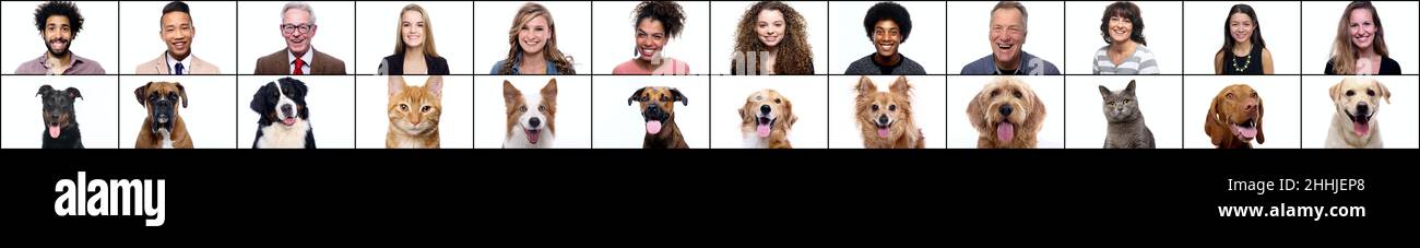 Group of dogs with people together Stock Photo - Alamy