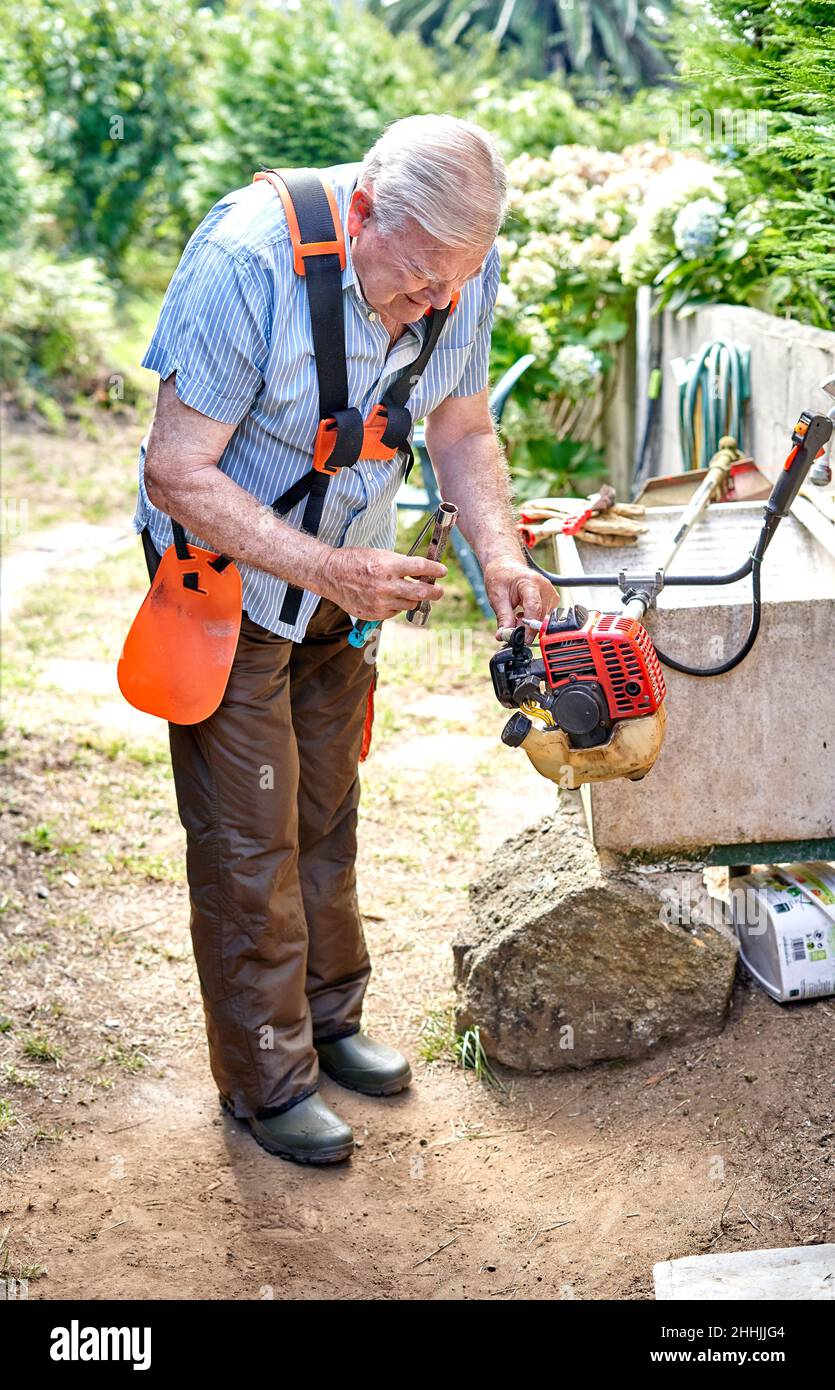 Concentrated elderly male gardener fixing mechanism of broken lawn ...