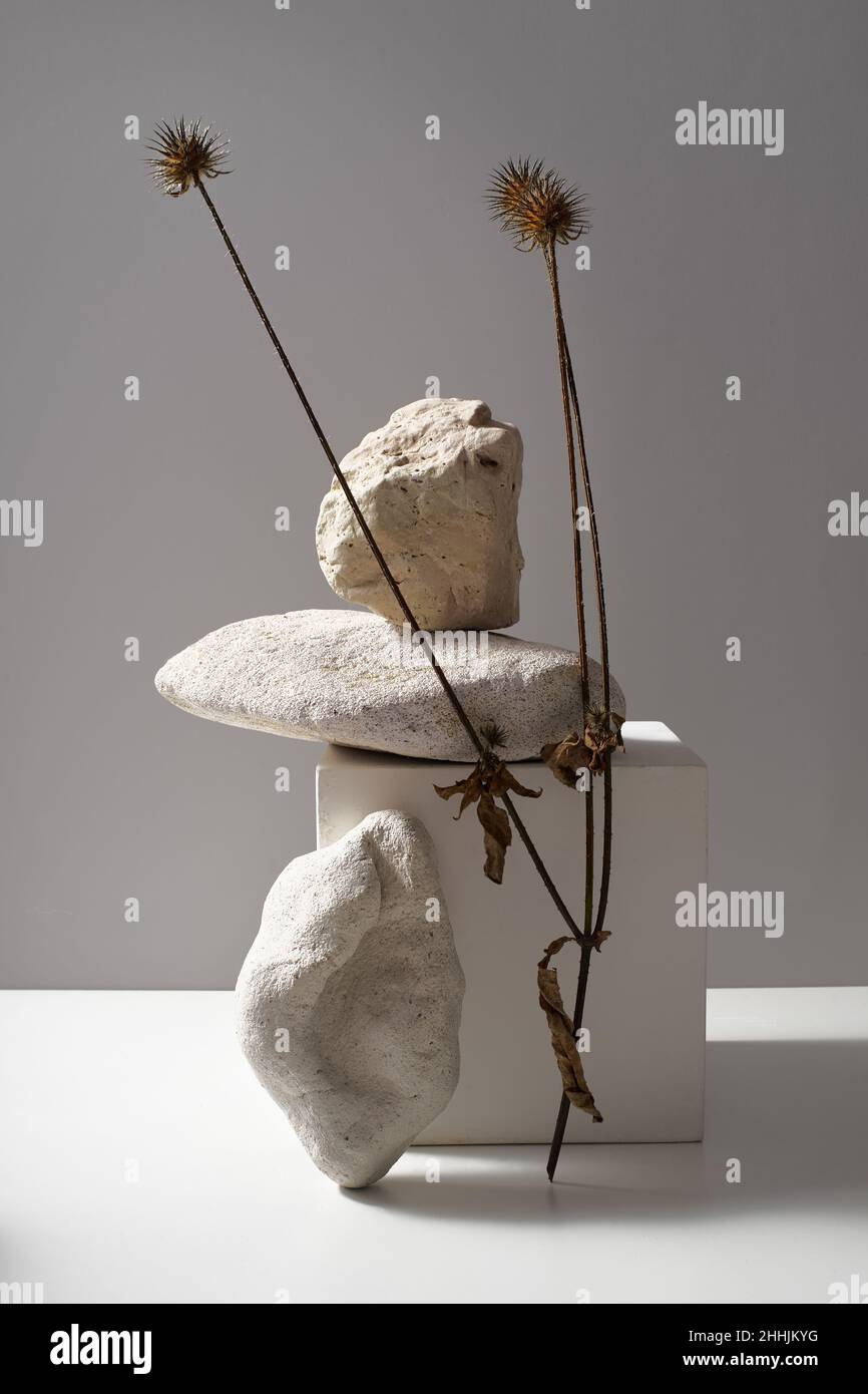 Creative stones with different shapes and surface and dried flower ...
