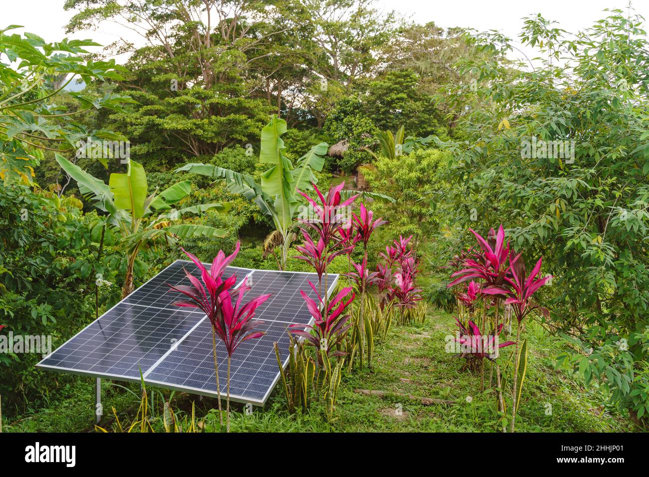 Solar photovoltaic panels producing renewal eco friendly power among ...