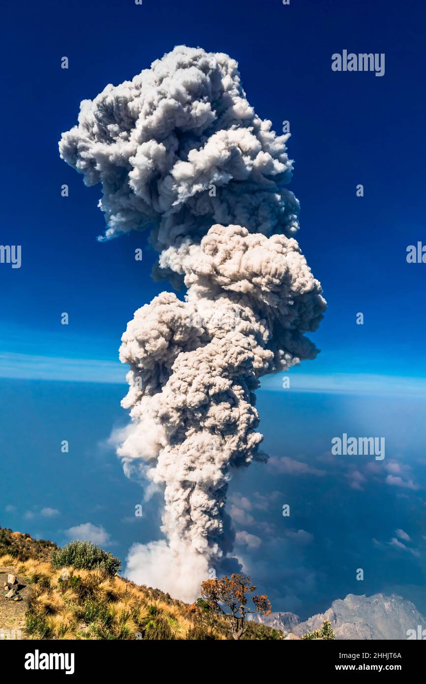 Eruption of volcanoe Santiaguito from Santa Maria by Quetzaltenango in ...