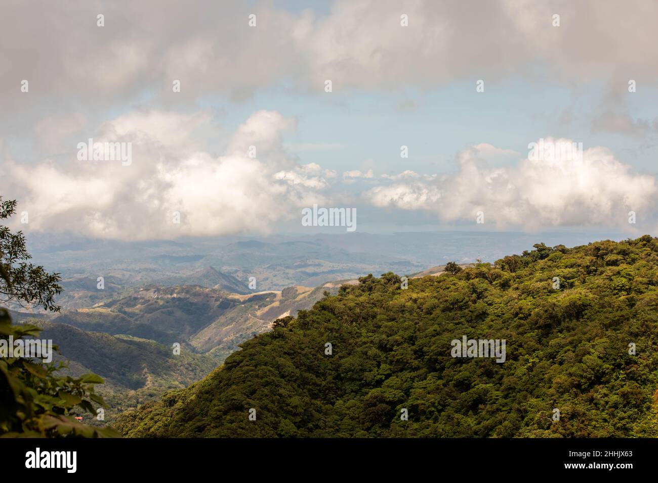 Misty landscape in the Monteverde forest of Costa Rica, with birds ...
