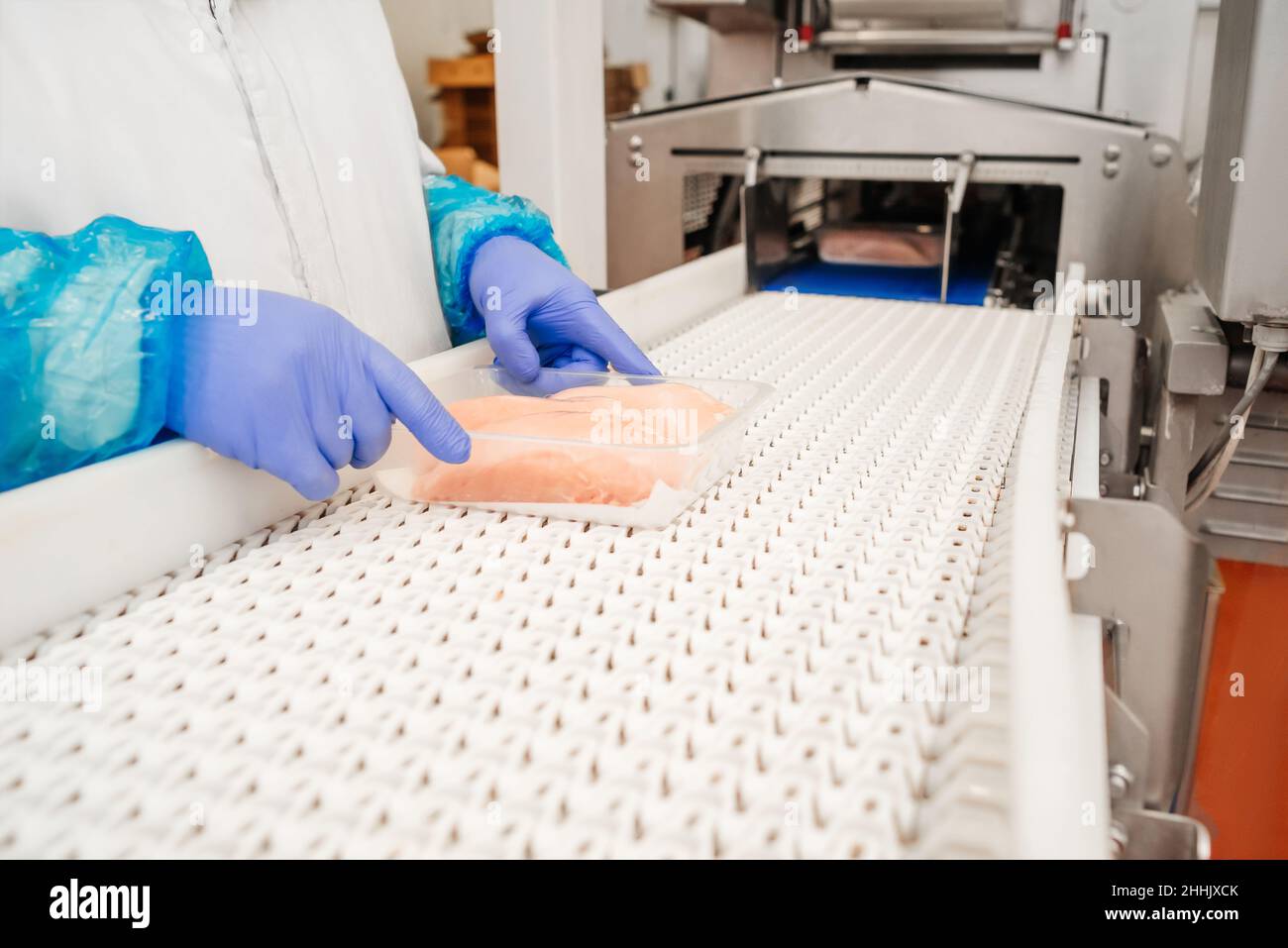 Chicken fillet production line . Factory for the production of food ...