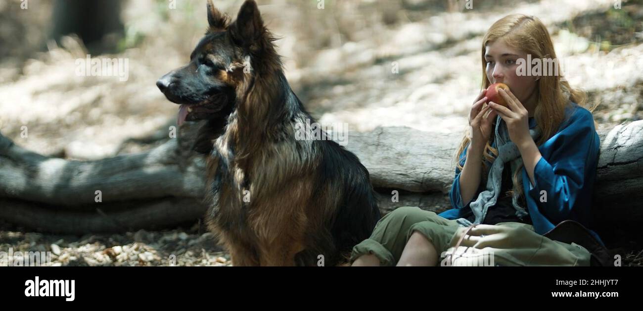 HARPER, Kayla Bohan, 2021. © Indican Pictures /Courtesy Everett ...