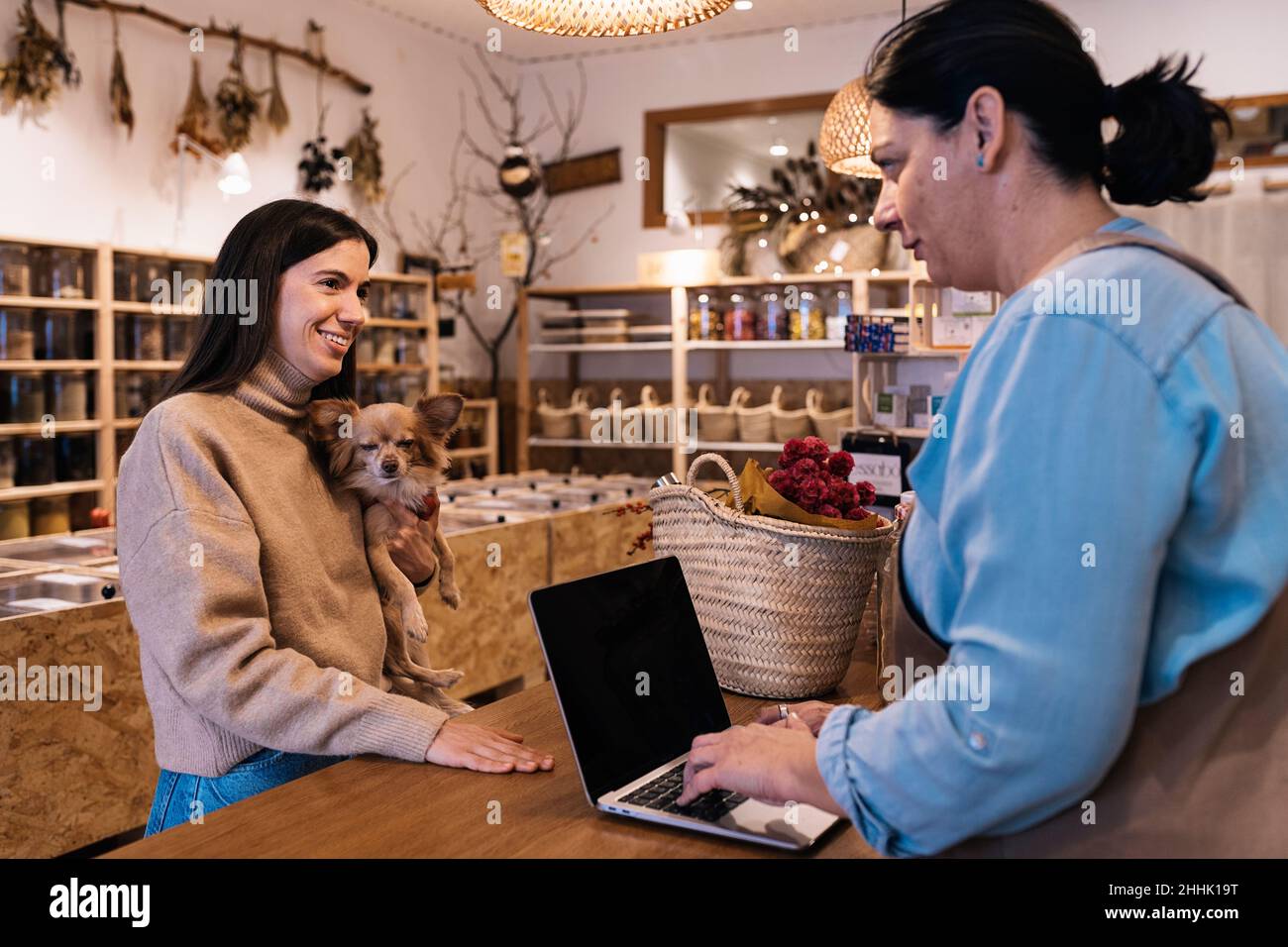 Content calm women using laptop hi-res stock photography and images - Alamy