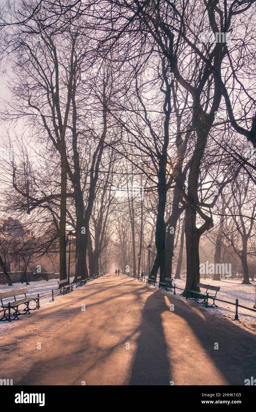 Pathway between snow hi-res stock photography and images - Alamy