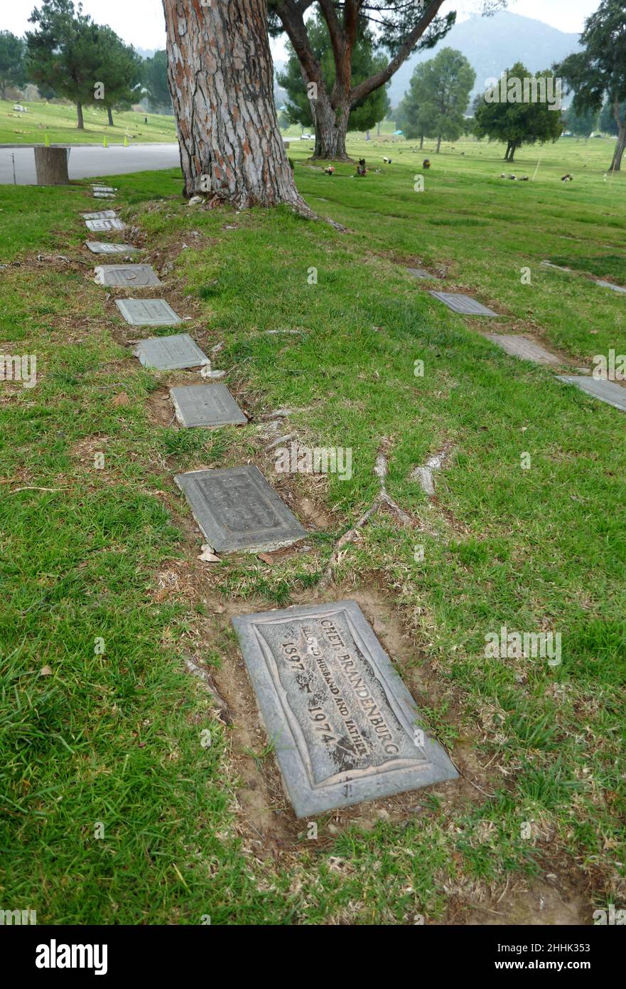 Los Angeles, California, USA 19th January 2022 Actor Chet Brandenburg's ...