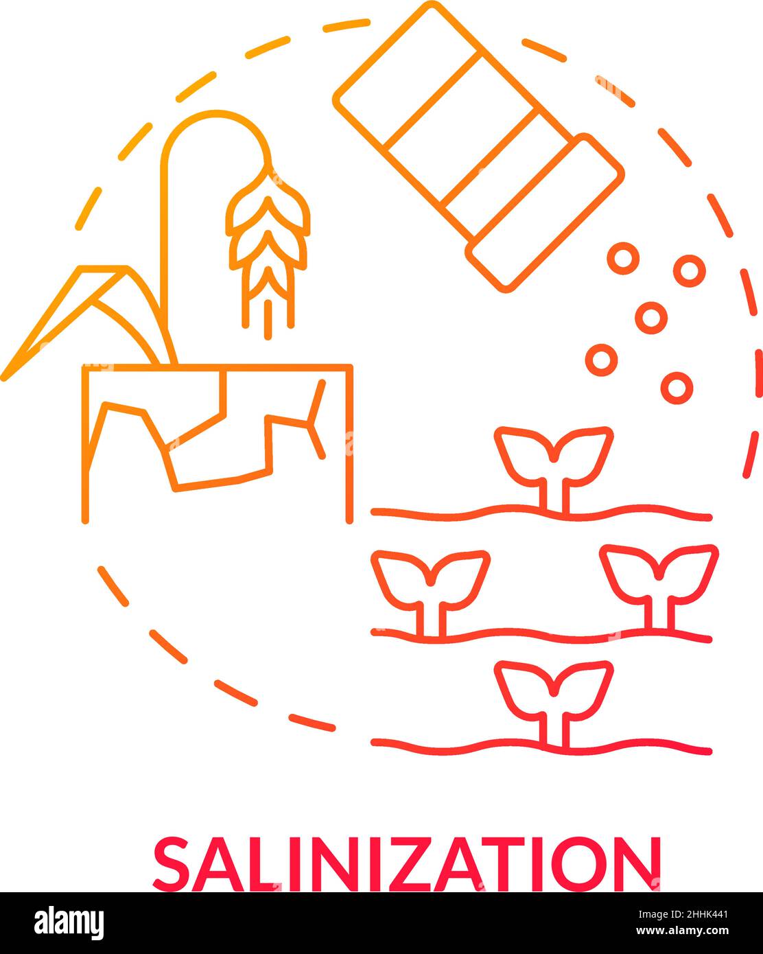 Salinization soil hi-res stock photography and images - Alamy