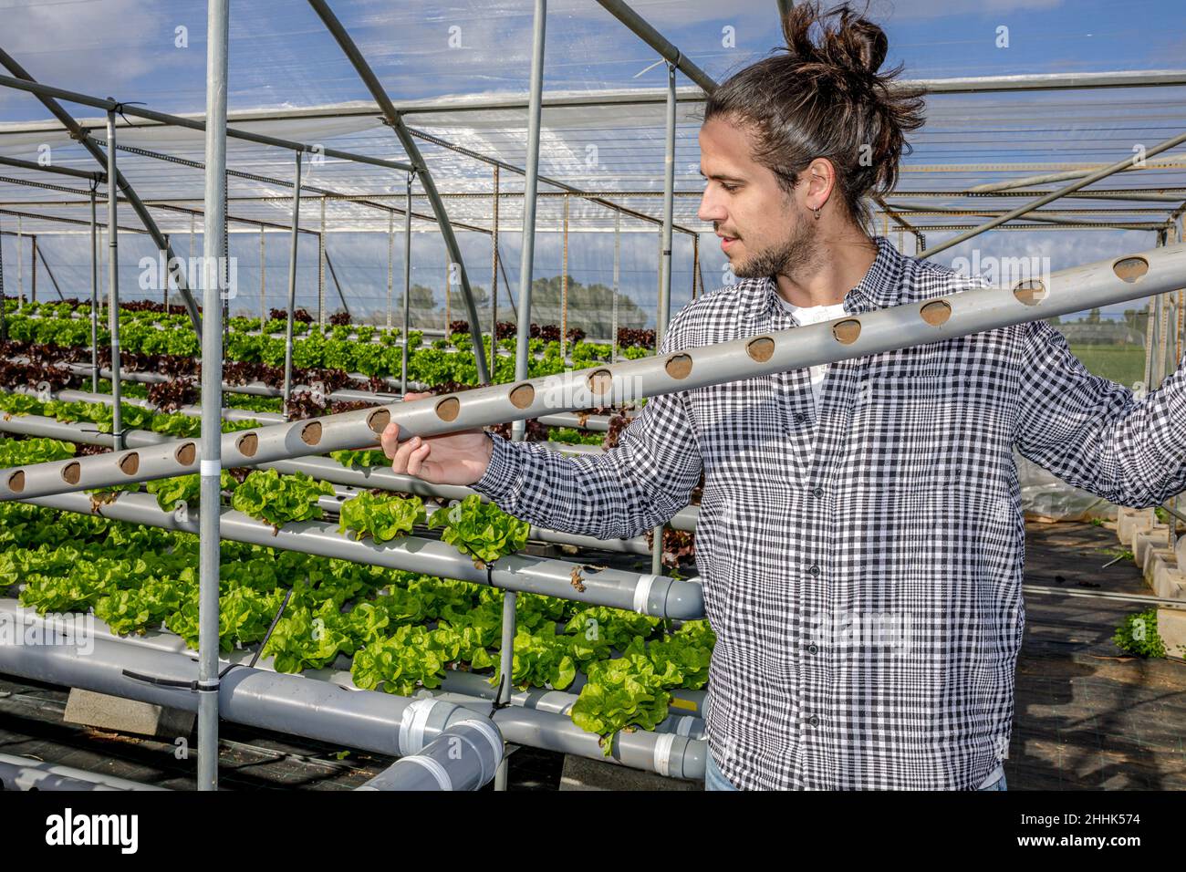 Farmer with pipe hi-res stock photography and images - Alamy