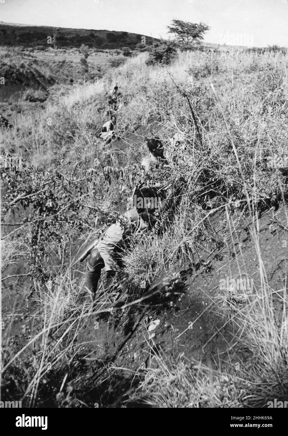 Abyssinian War October 1935Abyssinian infantry advancing undercover on ...