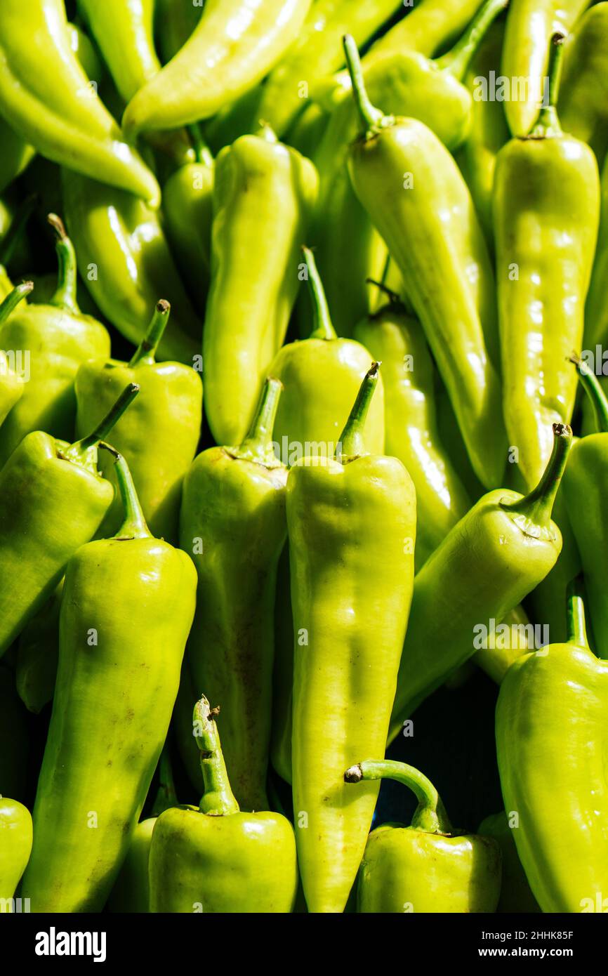 From above full frame of ripe raw green anaheim peppers placed together ...