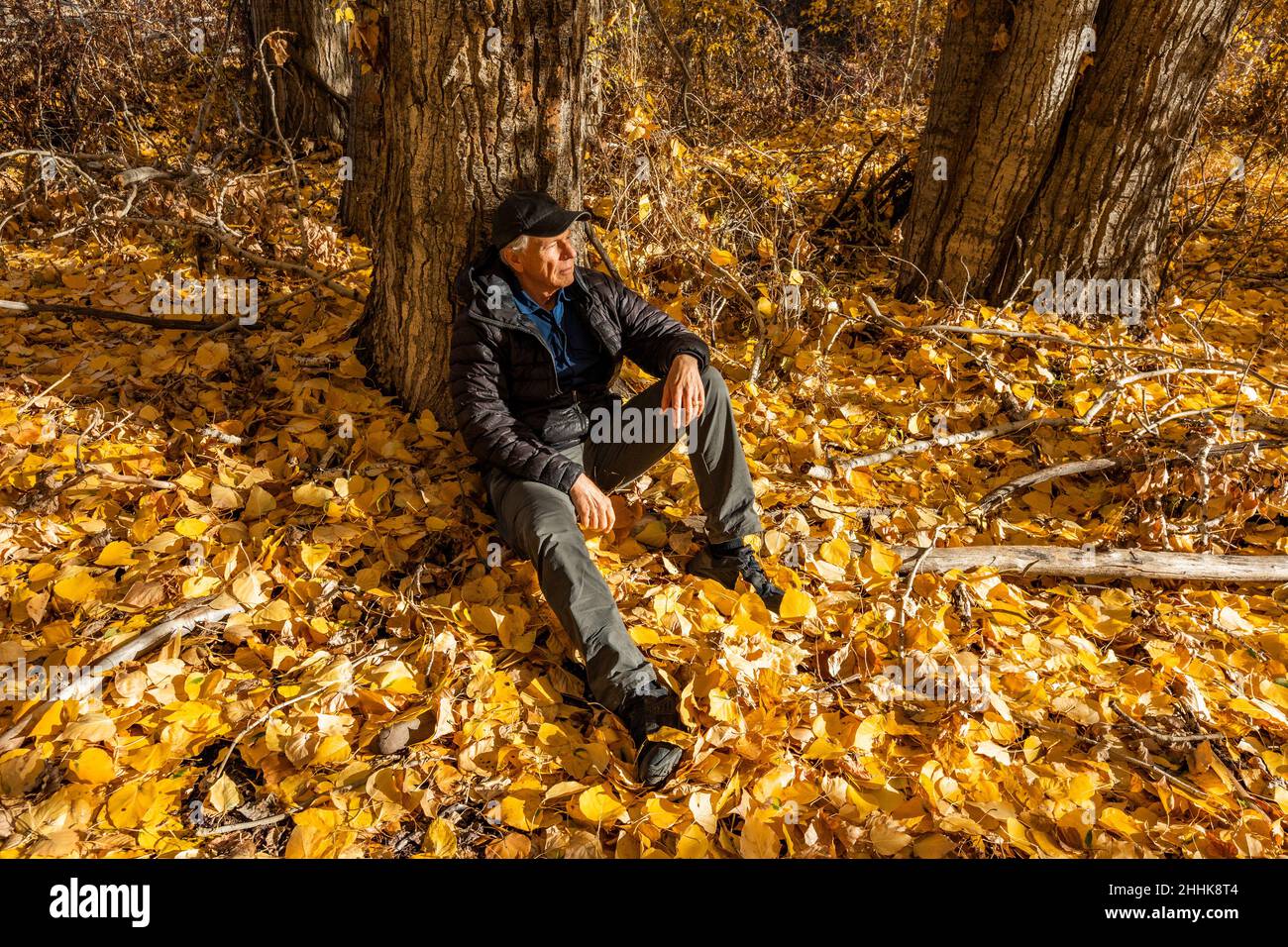 Man sitting against tree trunk hi-res stock photography and images - Alamy