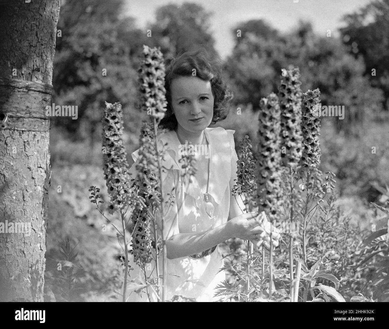 Actress Elsa MacFarlane pictured among the Delphiniums in Sir Francis ...