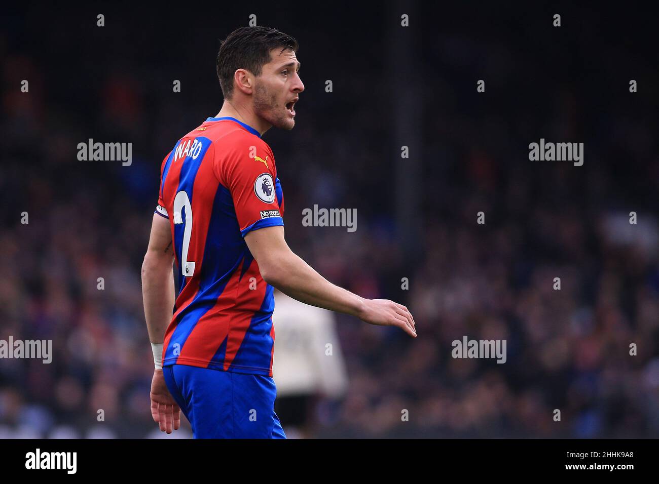 Joel ward crystal palace hi-res stock photography and images - Alamy