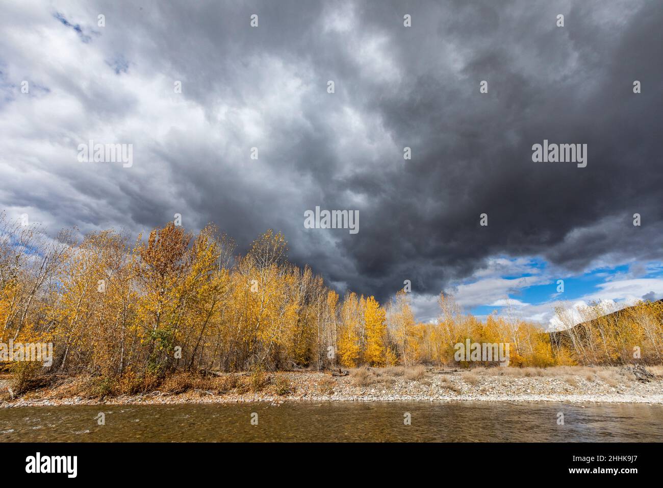 USA, Idaho, Bellevue, Storm clouds over Autumn forest and Big Wood ...