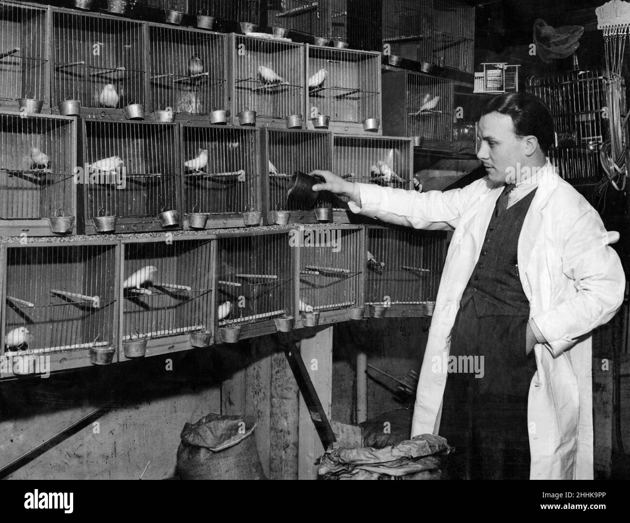 Bird street names Black and White Stock Photos & Images - Alamy