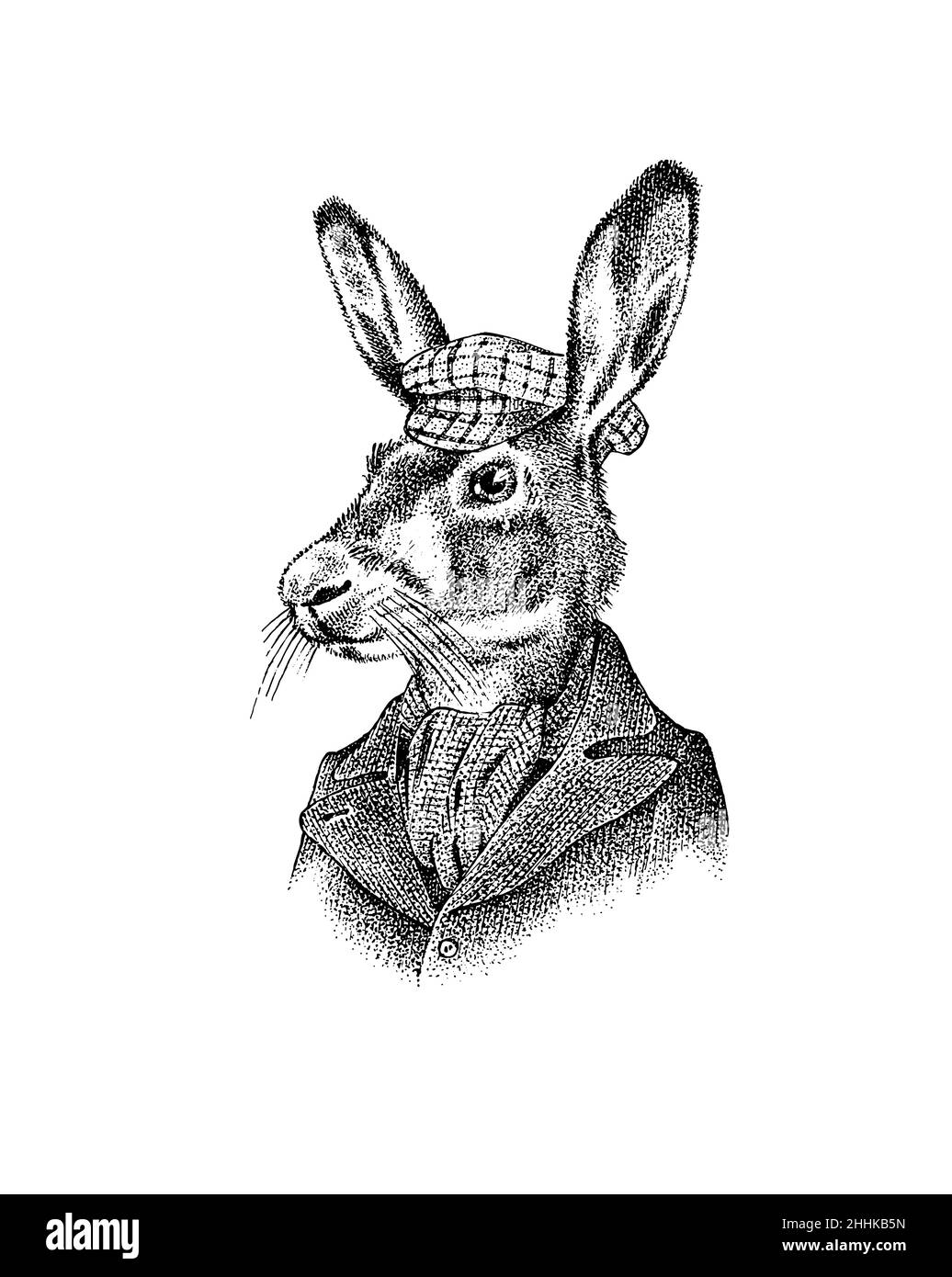 Rabbit drawing Black and White Stock Photos & Images - Alamy