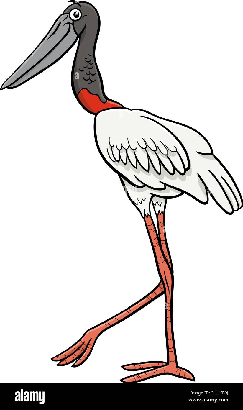 Jabiru illustration Stock Vector Images - Alamy