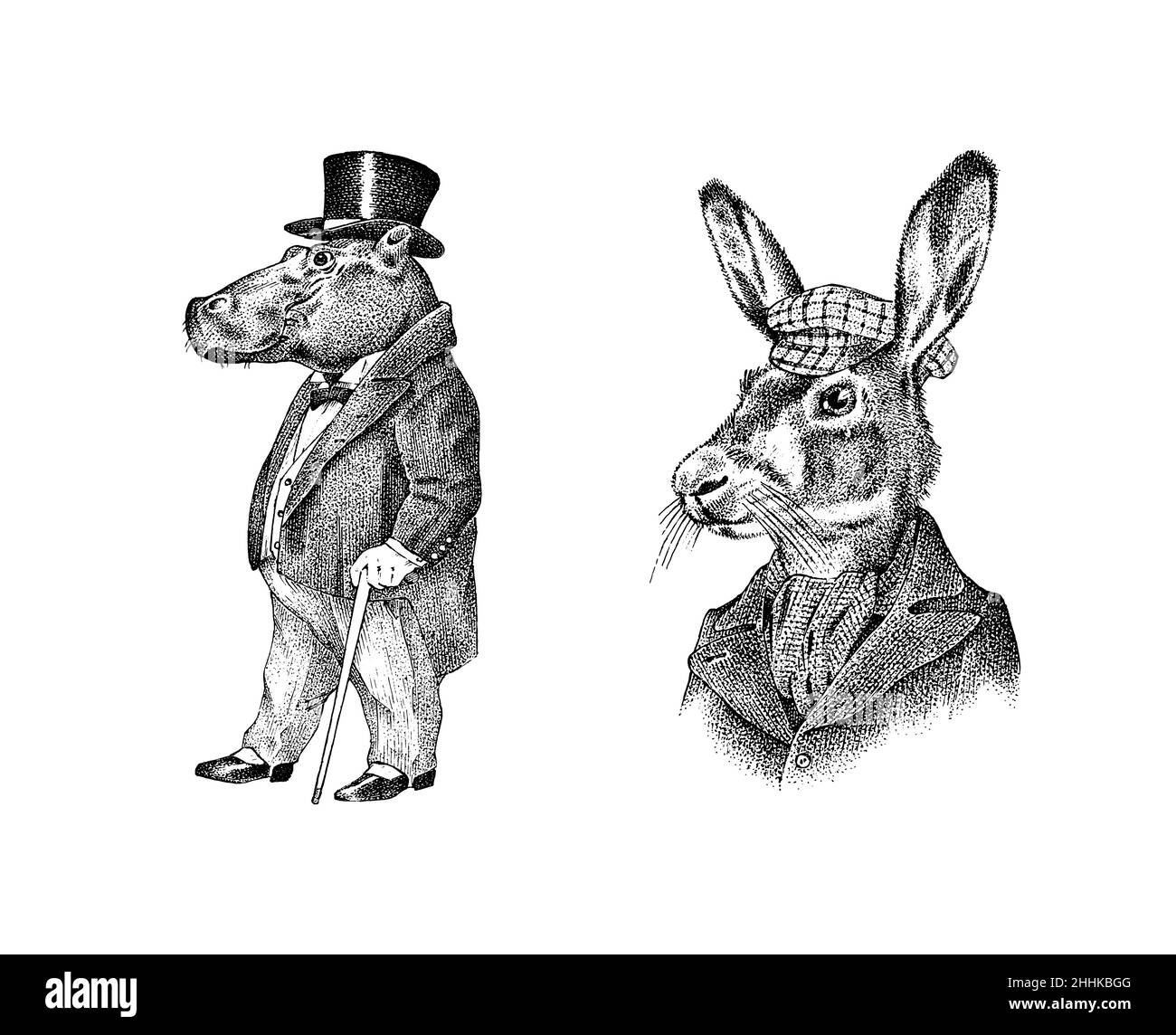 Rabbit drawing Black and White Stock Photos & Images - Alamy