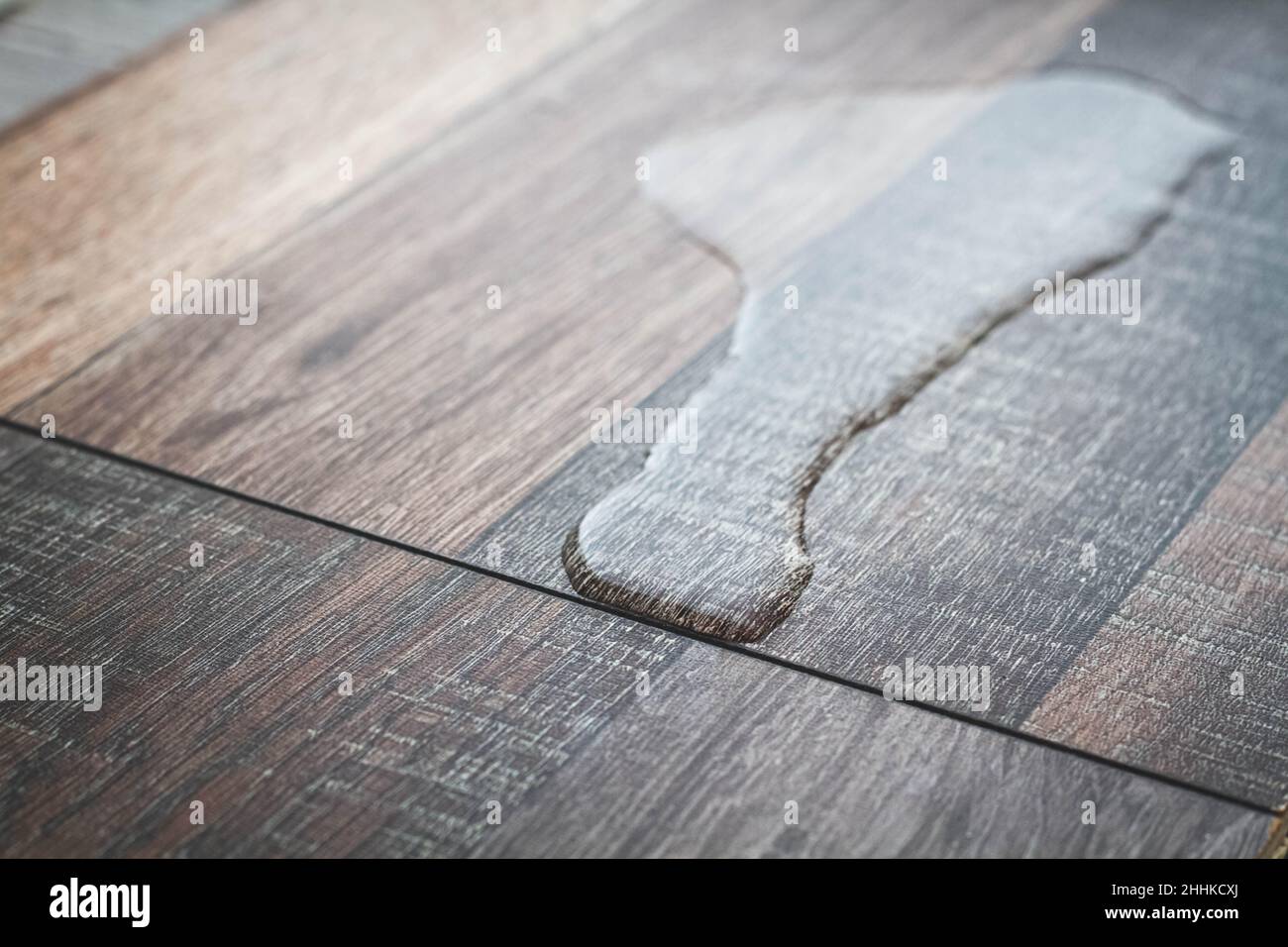 Laminate and water. Waterproof laminate. Wooden floors are impervious ...