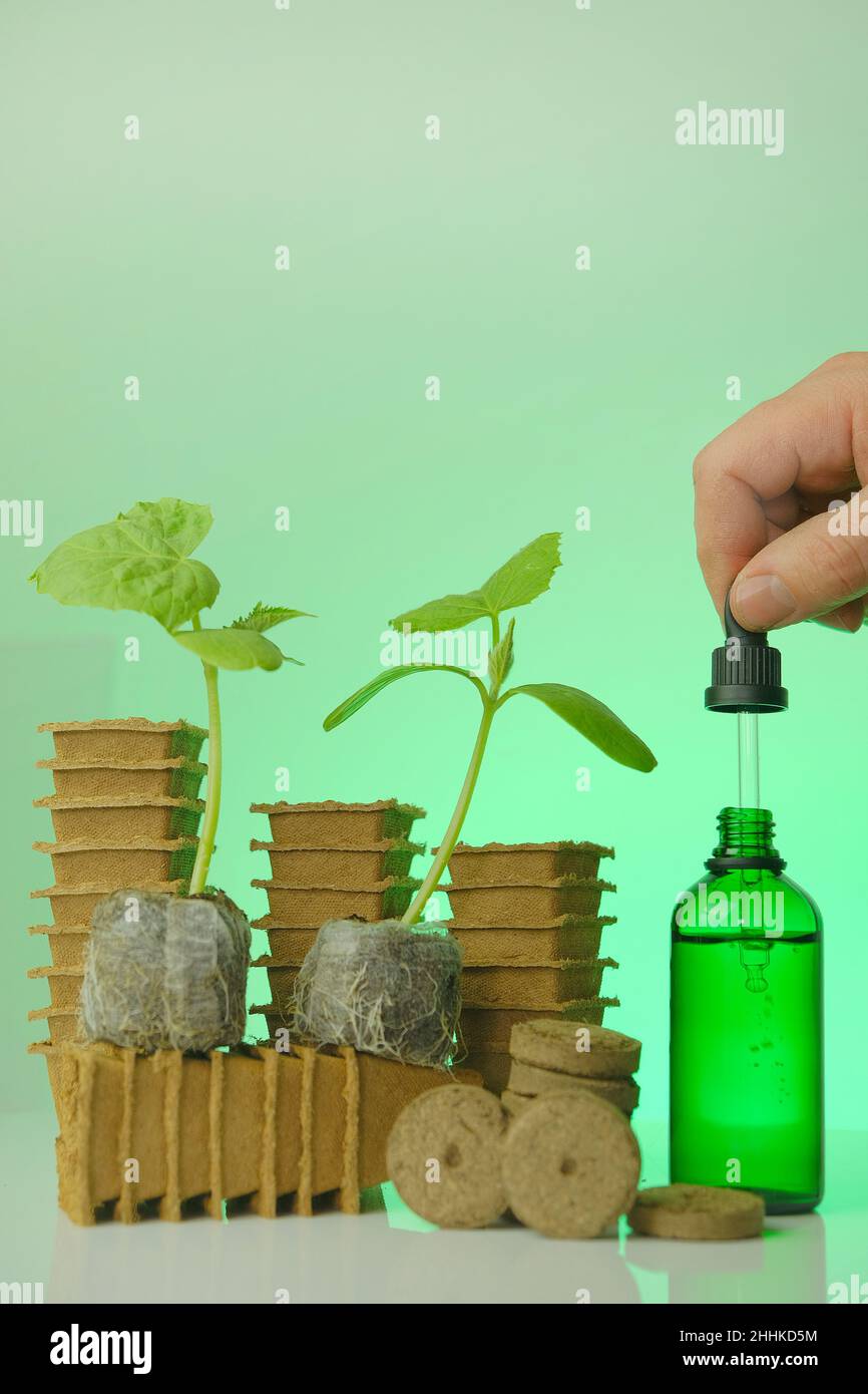 Seedling root system activator hi-res stock photography and images - Alamy