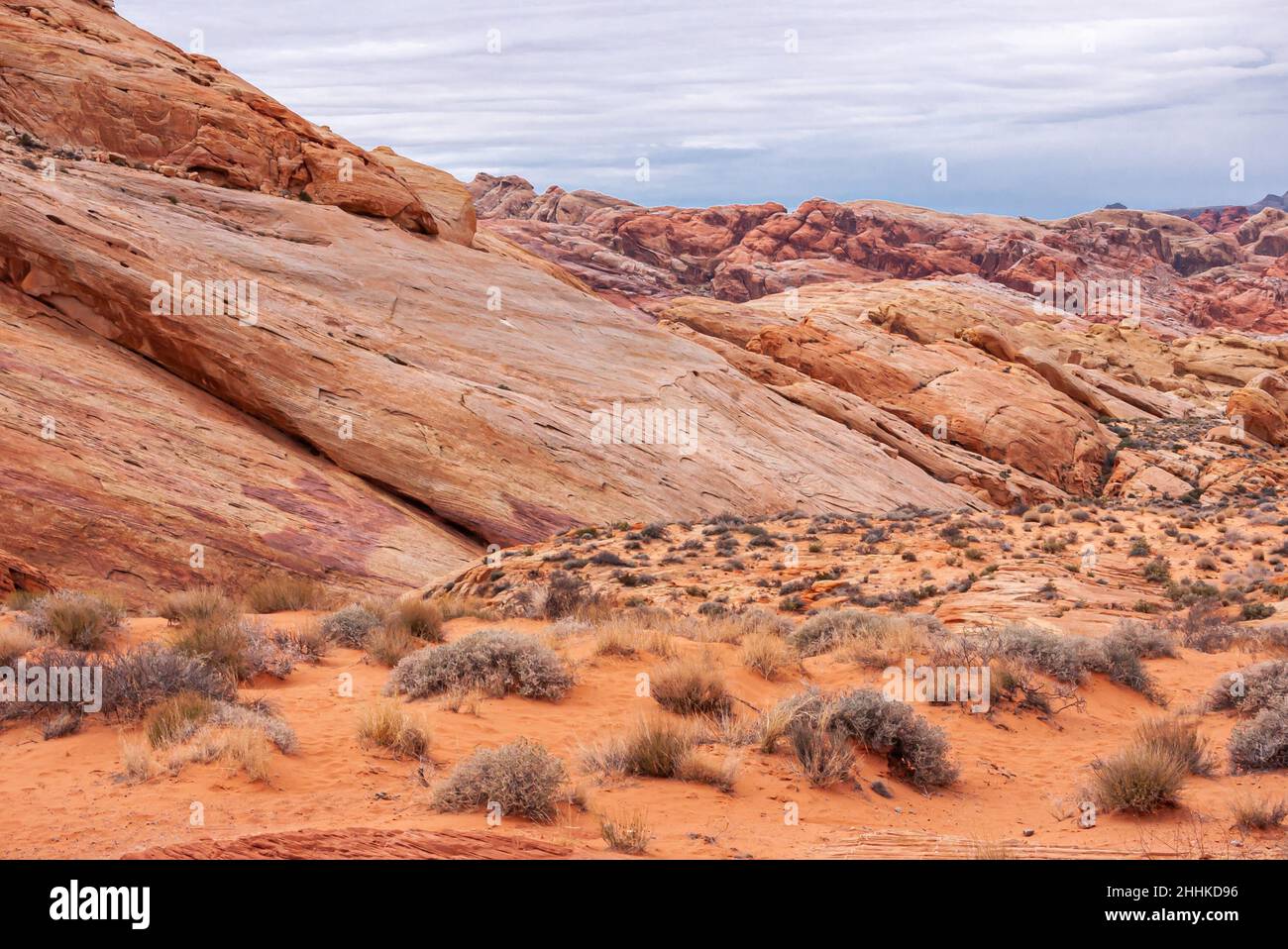 Overton, Nevada, USA - February 24, 2010: Valley of Fire. Landscape ...