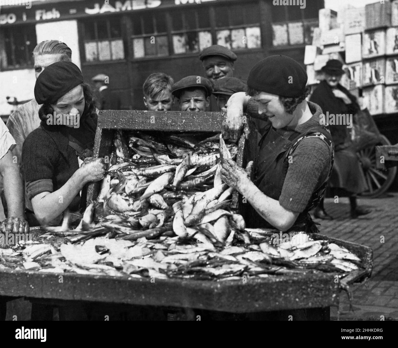 North shields fish quay hi-res stock photography and images - Alamy